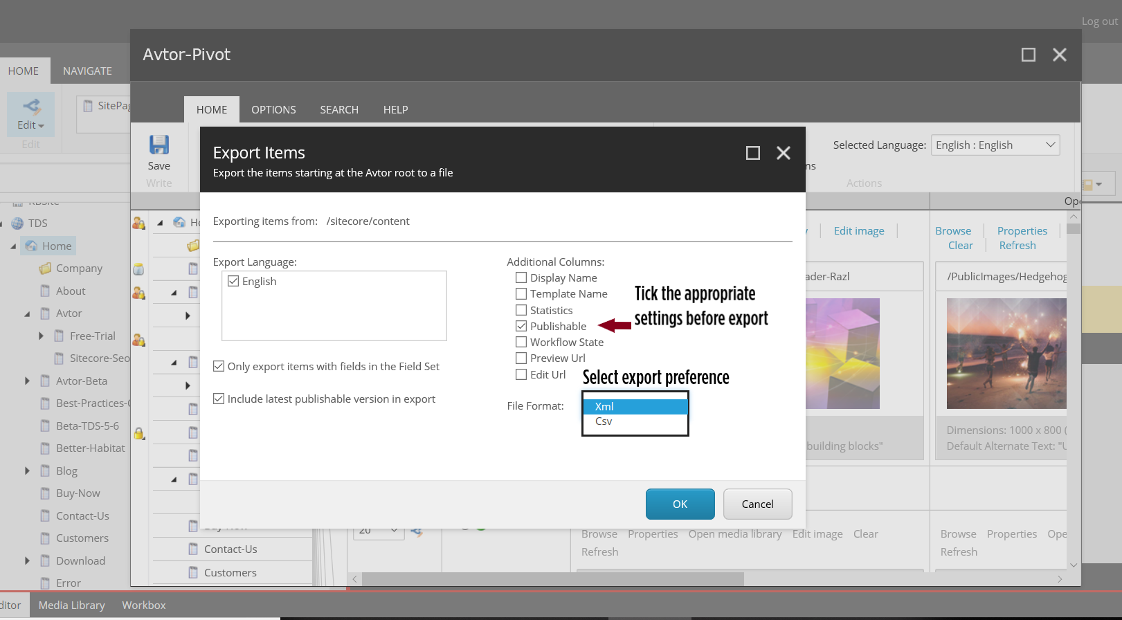 Sitecore SEO Plugin – Easily Implement Best Practices Sitecore SEO Plugin – Easily Implement Best Practices